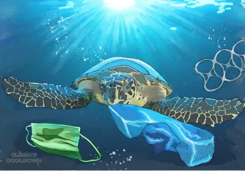 Plastic Pollution Climate Cooldown